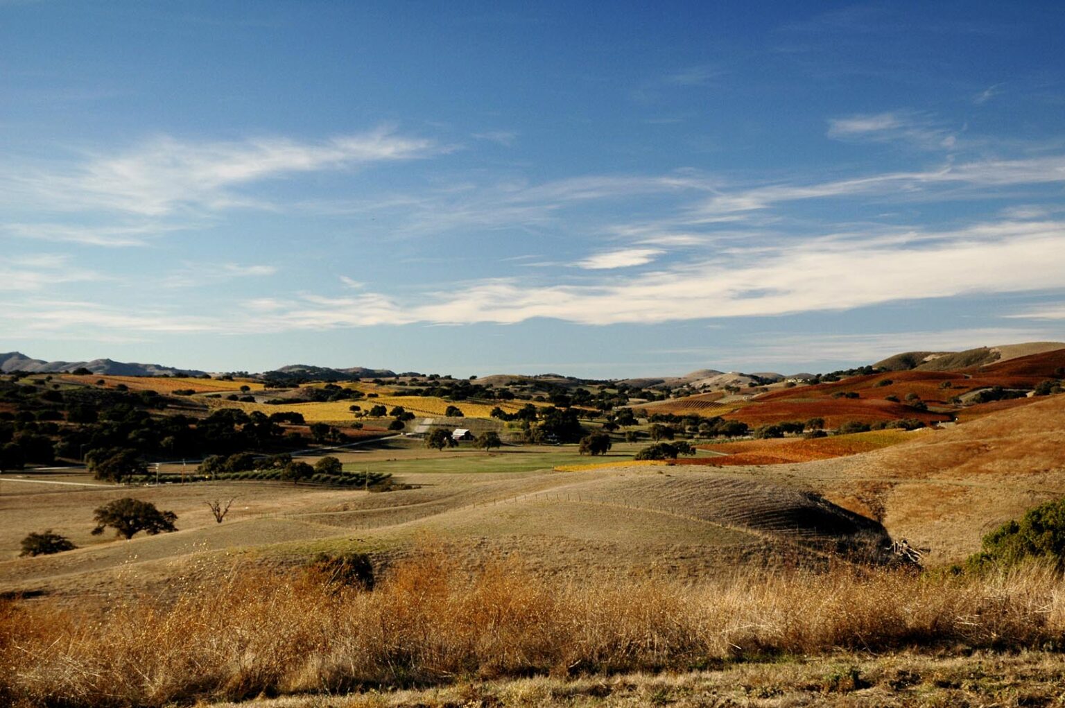 History - RUSACK Vineyards